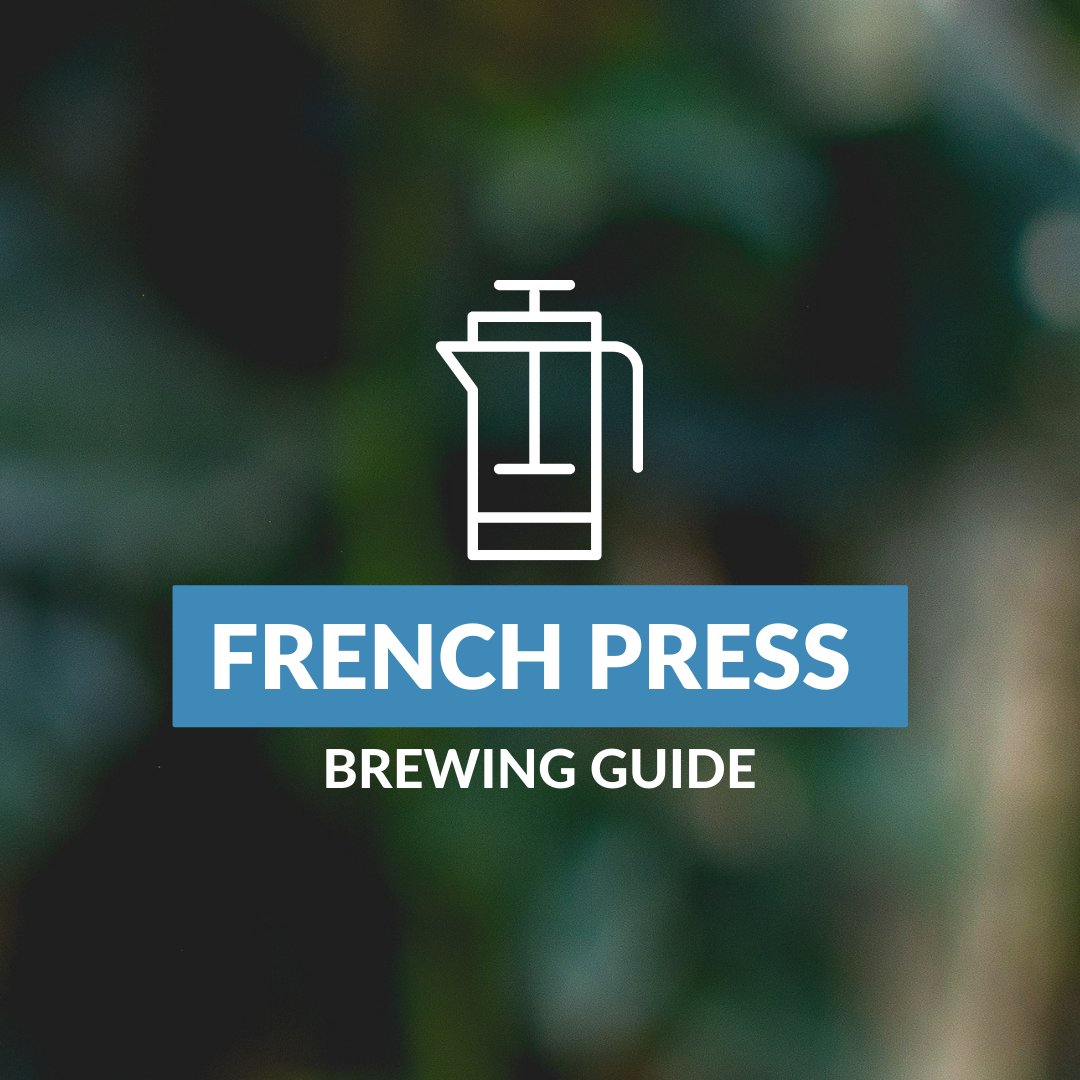 Brewing Guide: French Press