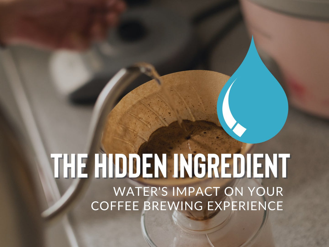 Coffee Science 101: A Beginner's Guide to the Roasting Process